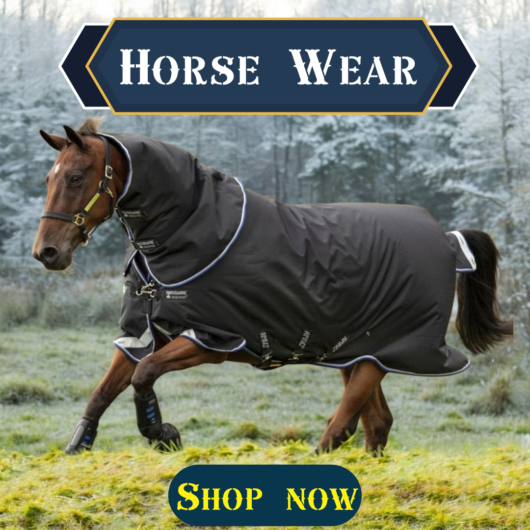 Western Belts | Shipping Across Canada - The Horse Barn